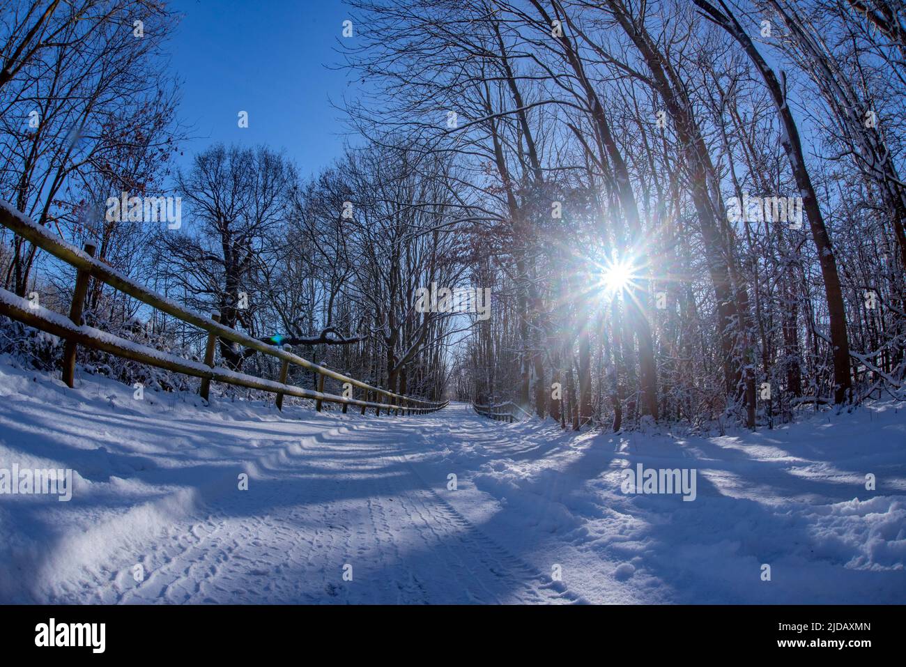 An Early Morning English Winter's Morning with Snow on the Ground and ...