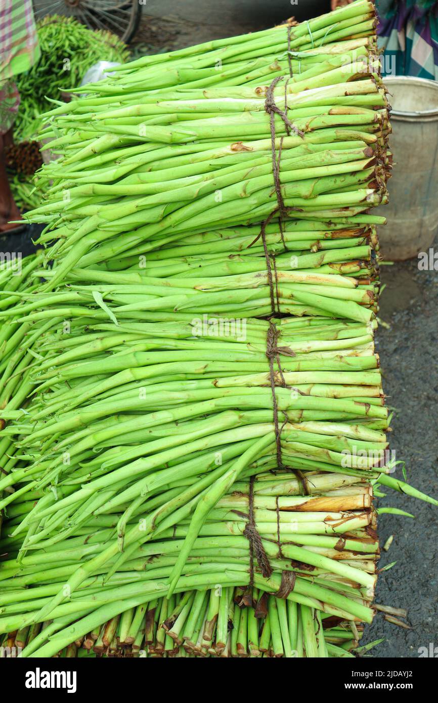 fresh and healthy green arum lobe stock on shop for sell Stock Photo ...