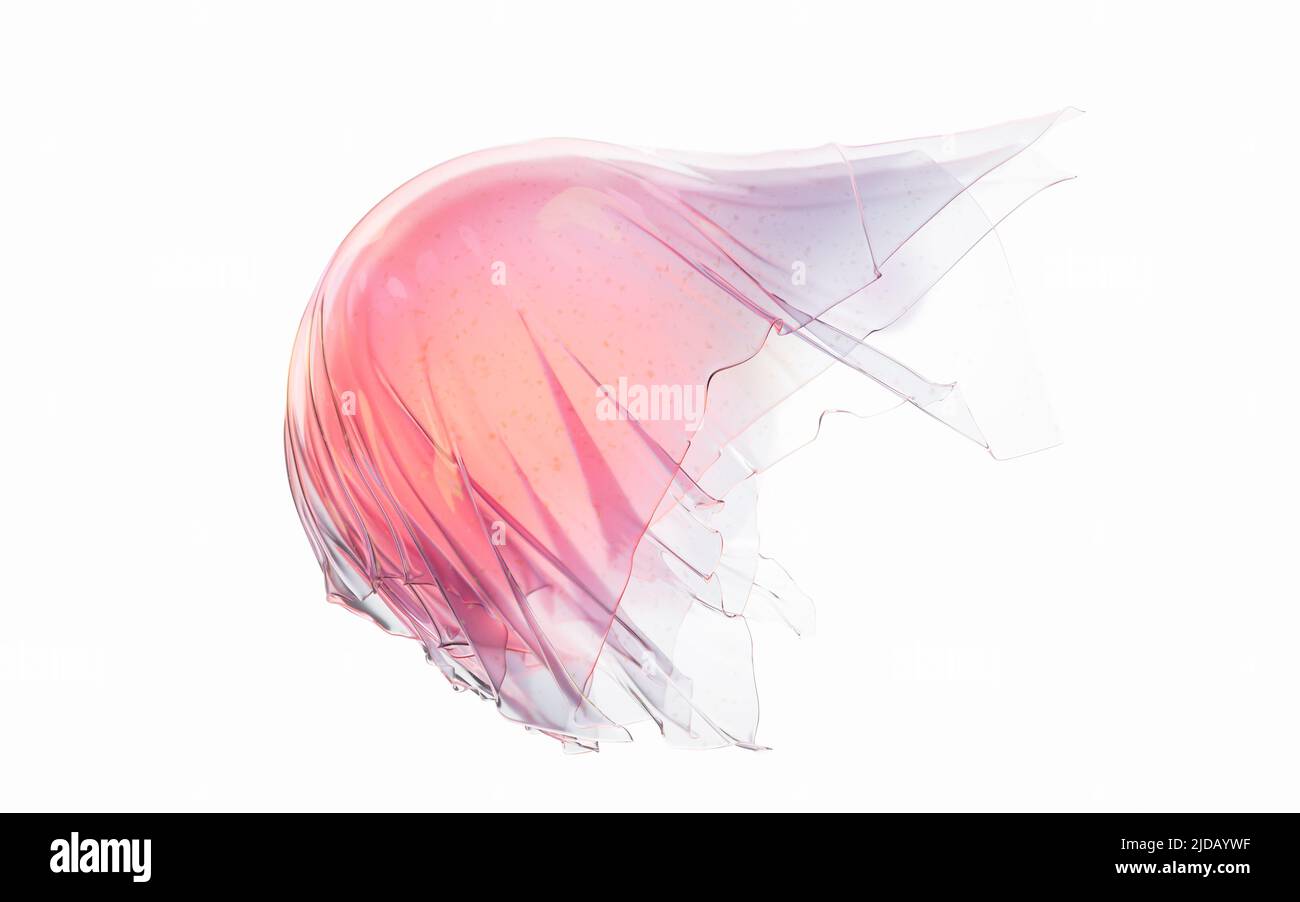 Gradient transparent cloth background, 3d rendering. Computer digital ...