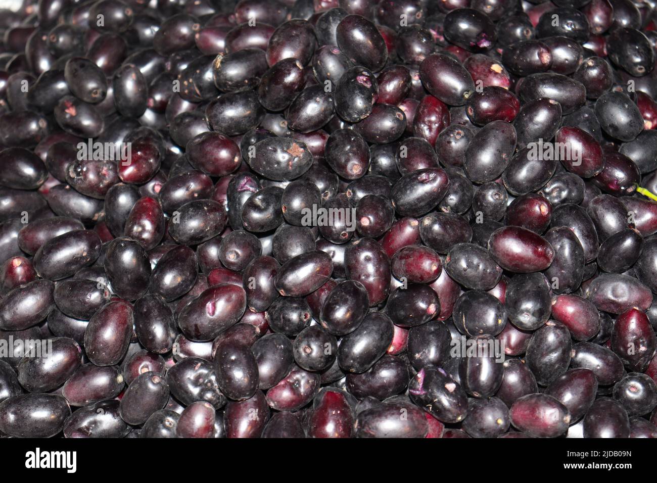 tasty and healthy black java plum stock on shop for sell Stock Photo ...