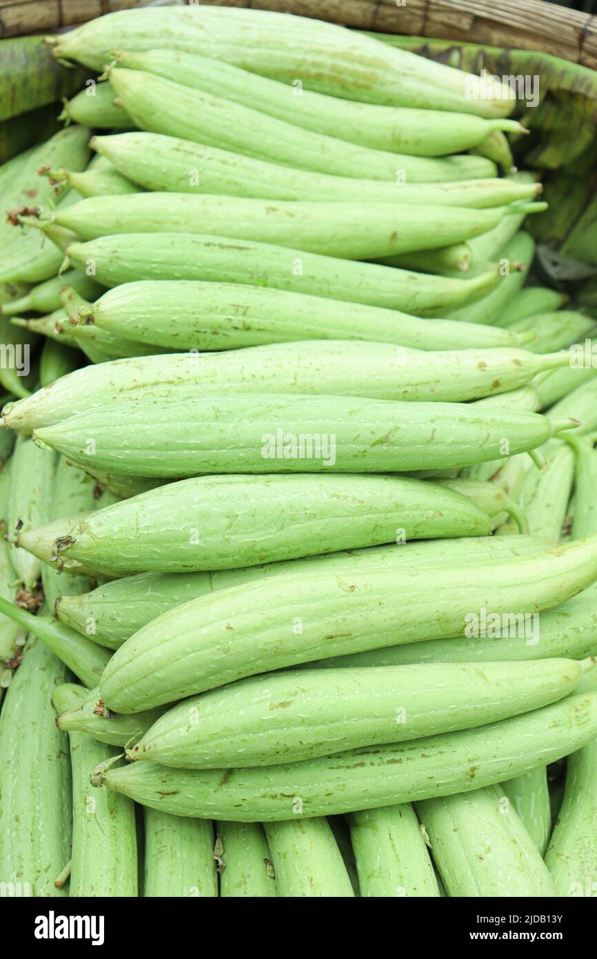 Luffa gourd hi-res stock photography and images - Alamy