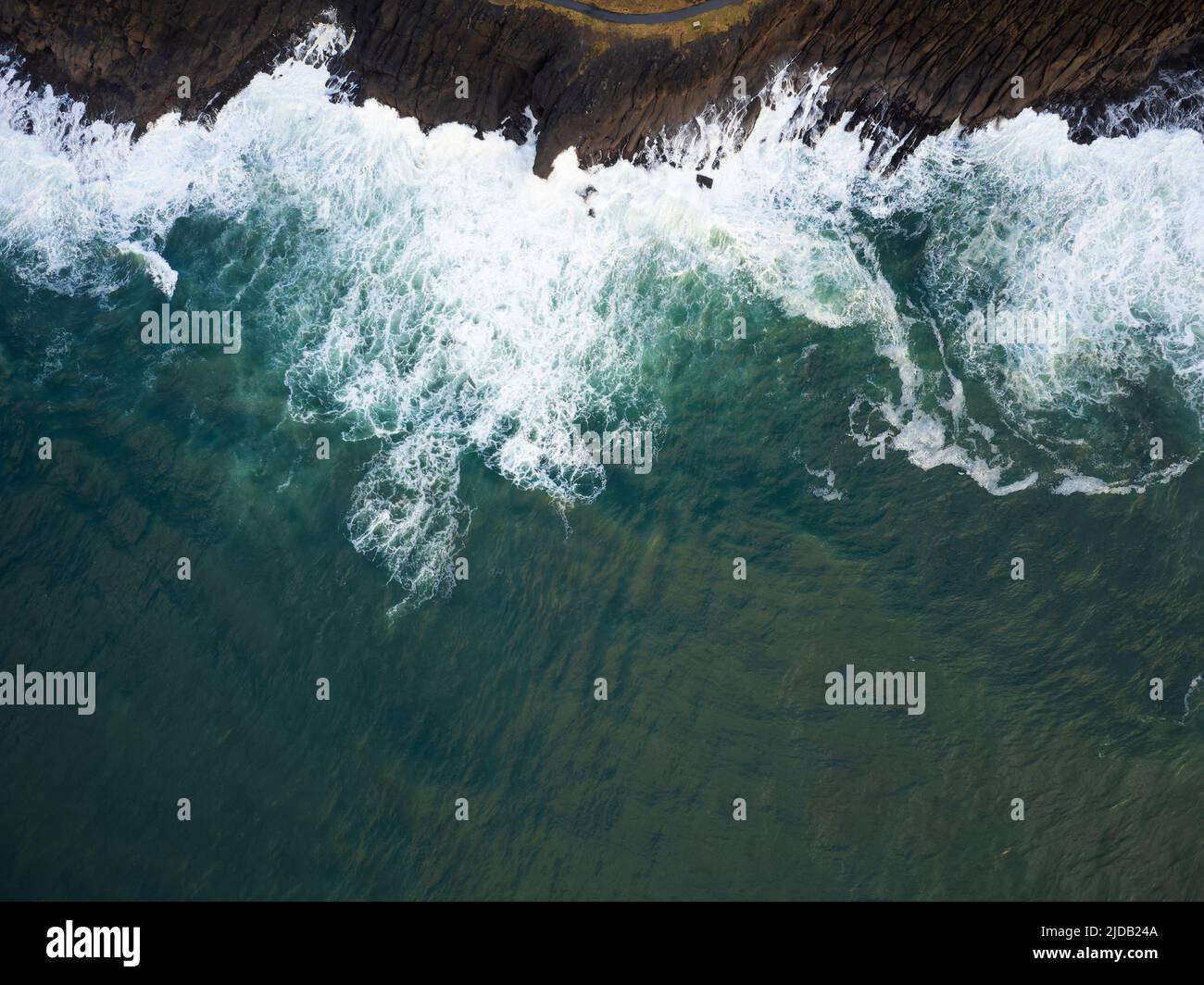 Primordial nature hi-res stock photography and images - Alamy