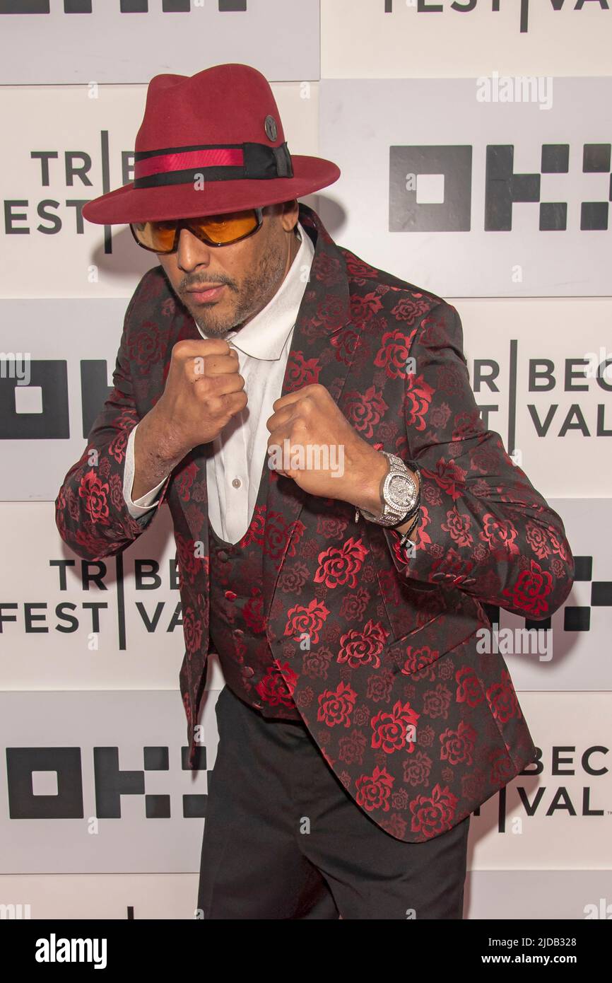 Singer-songwriter Al B Sure attends the "Loudmouth" Premiere during ...