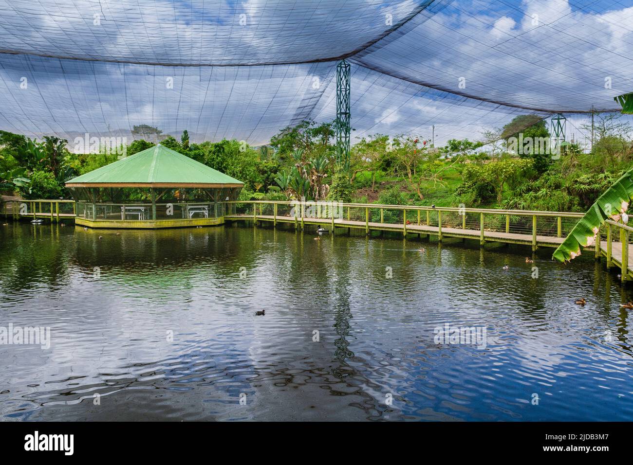 South Africa Monkeyland Primate Sanctuary and Birds of Eden near ...