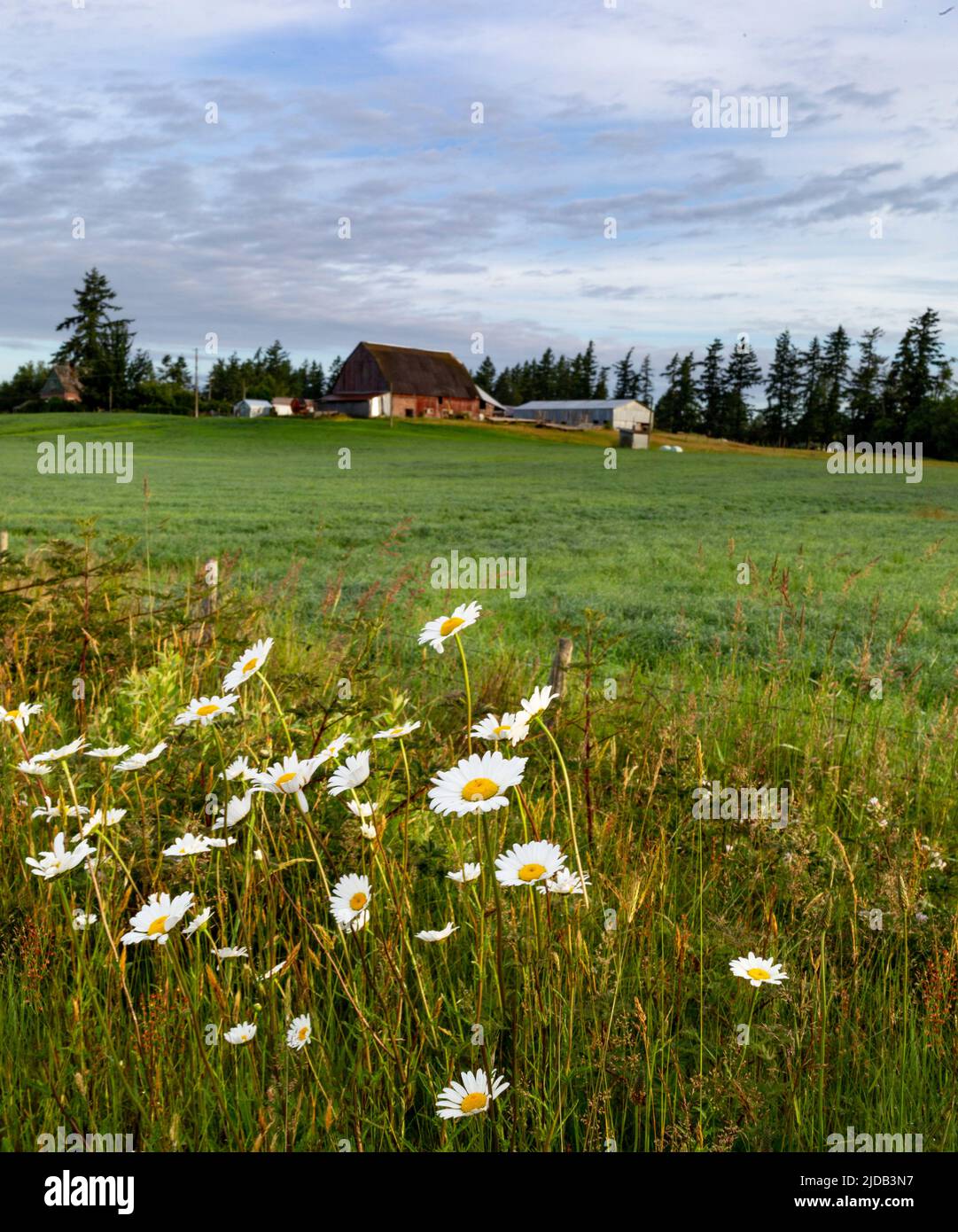 Surrey farm buildings hi-res stock photography and images - Alamy