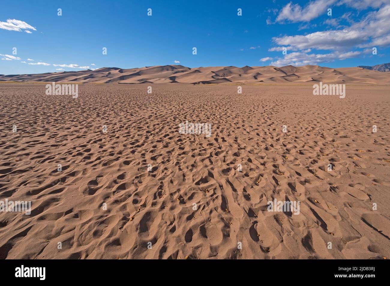 Pockmarked Sand With Fall Leaves at the Great Sand Dunes National Park ...