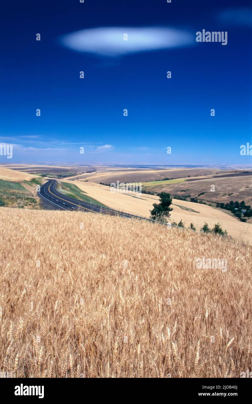 Road winding through countryside; Oregon, United States of America ...