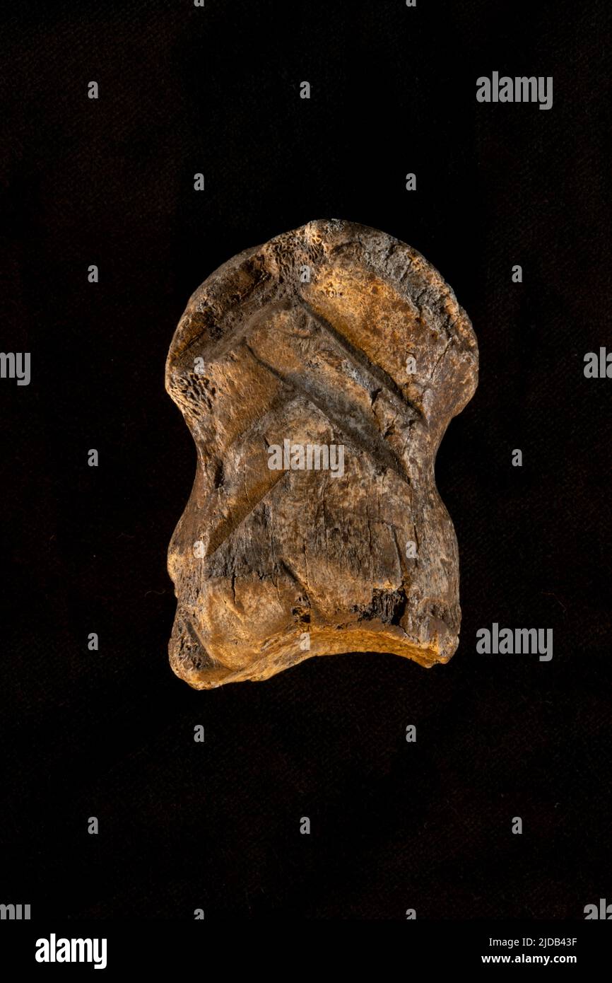 Archaeological excavation engraving hi-res stock photography and images ...