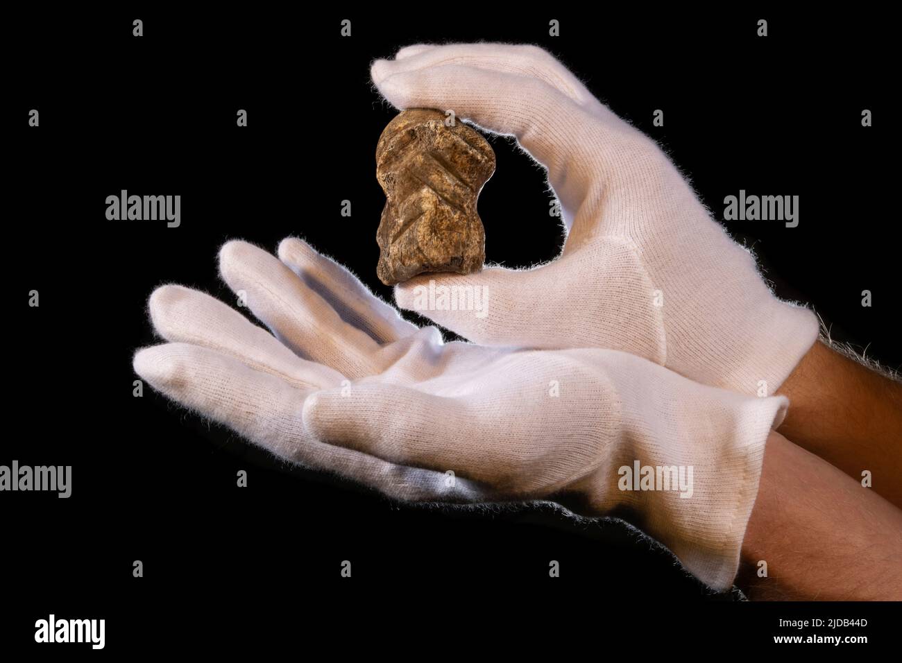 This is a photograph of a scientists's gloved hands holding the Giant ...