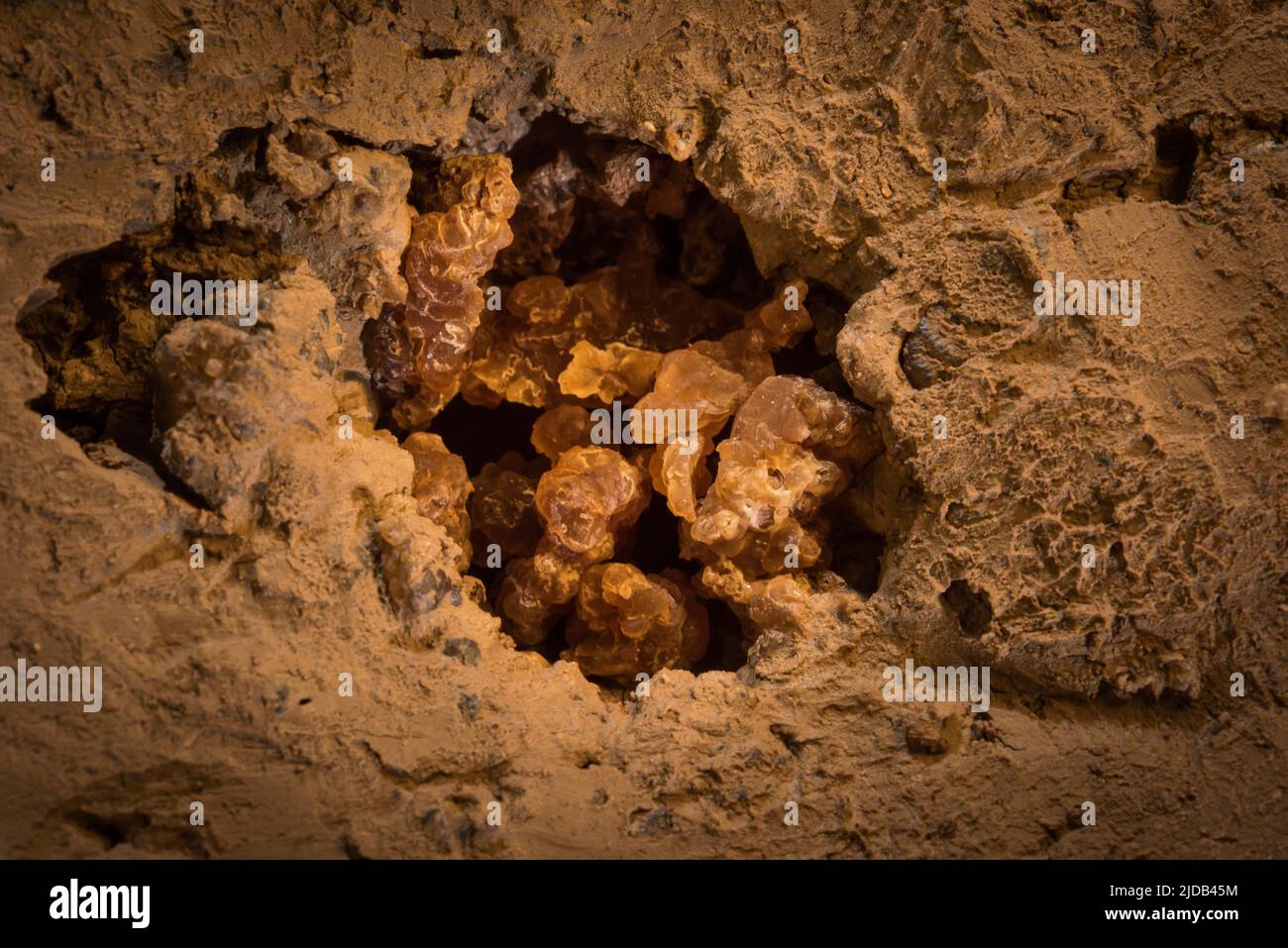Clean crystals of cryogenic calcite in the drip-hole on the clay cave ...