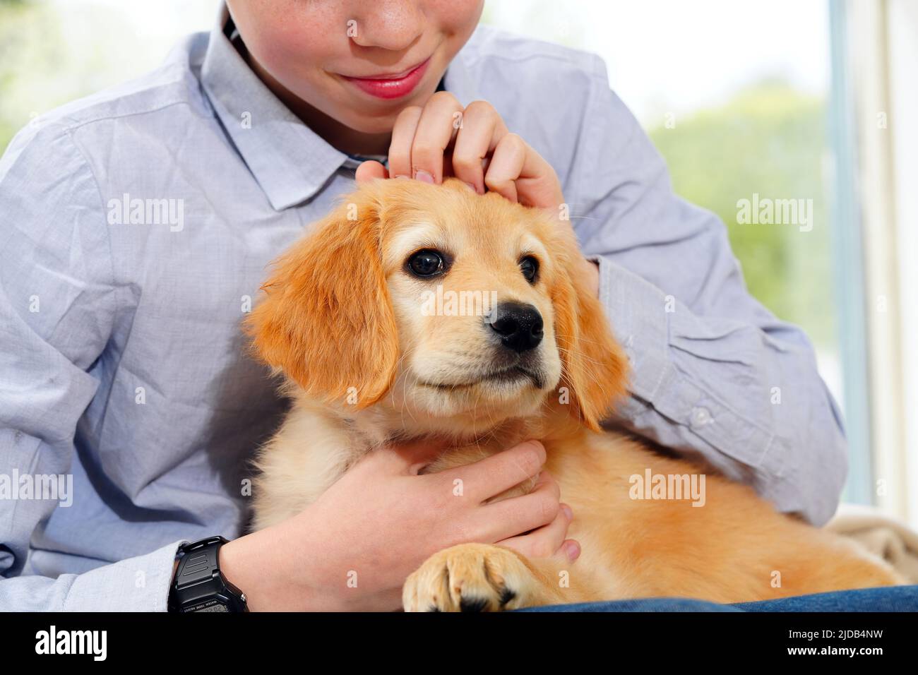Happy cute puppy resting in the arms of a child, a dream come true ...