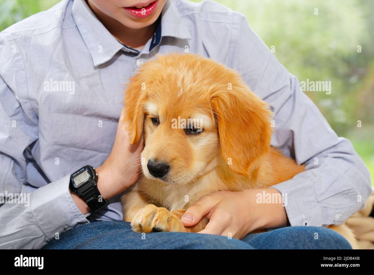 Happy cute puppy resting in the arms of a child, a dream come true ...