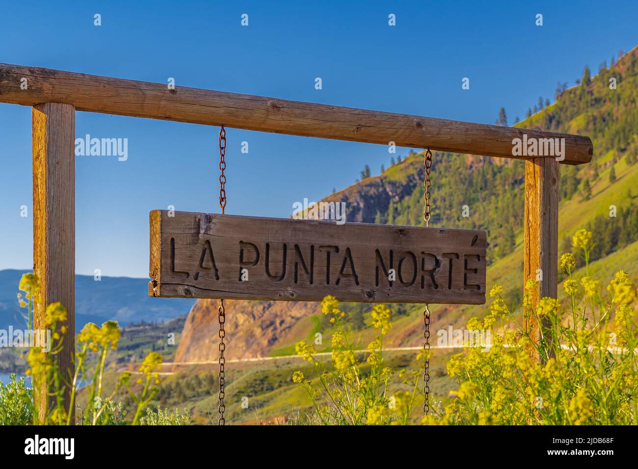 Rustic wooden notice board in natural background in the summer park ...
