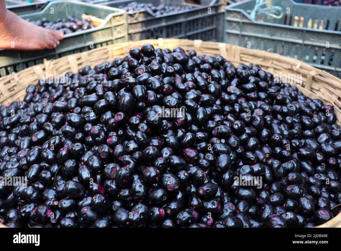 Calcium stock hi-res stock photography and images - Alamy