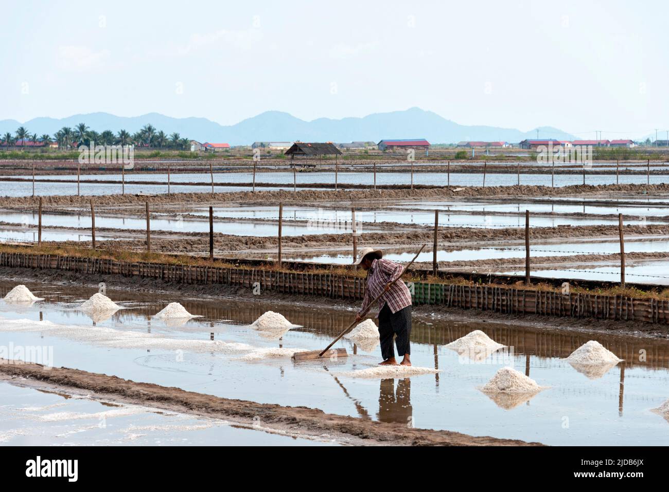 Rice farming in a farming community in Southern Cambodia; Kampot ...