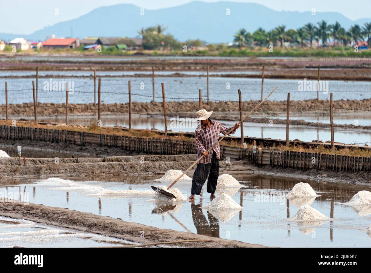 Rice farming in a farming community in Southern Cambodia; Kampot ...