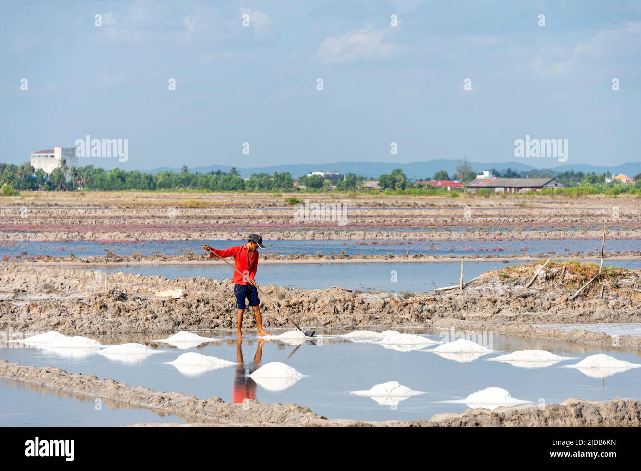 Rice farming in a farming community in Southern Cambodia; Kampot ...