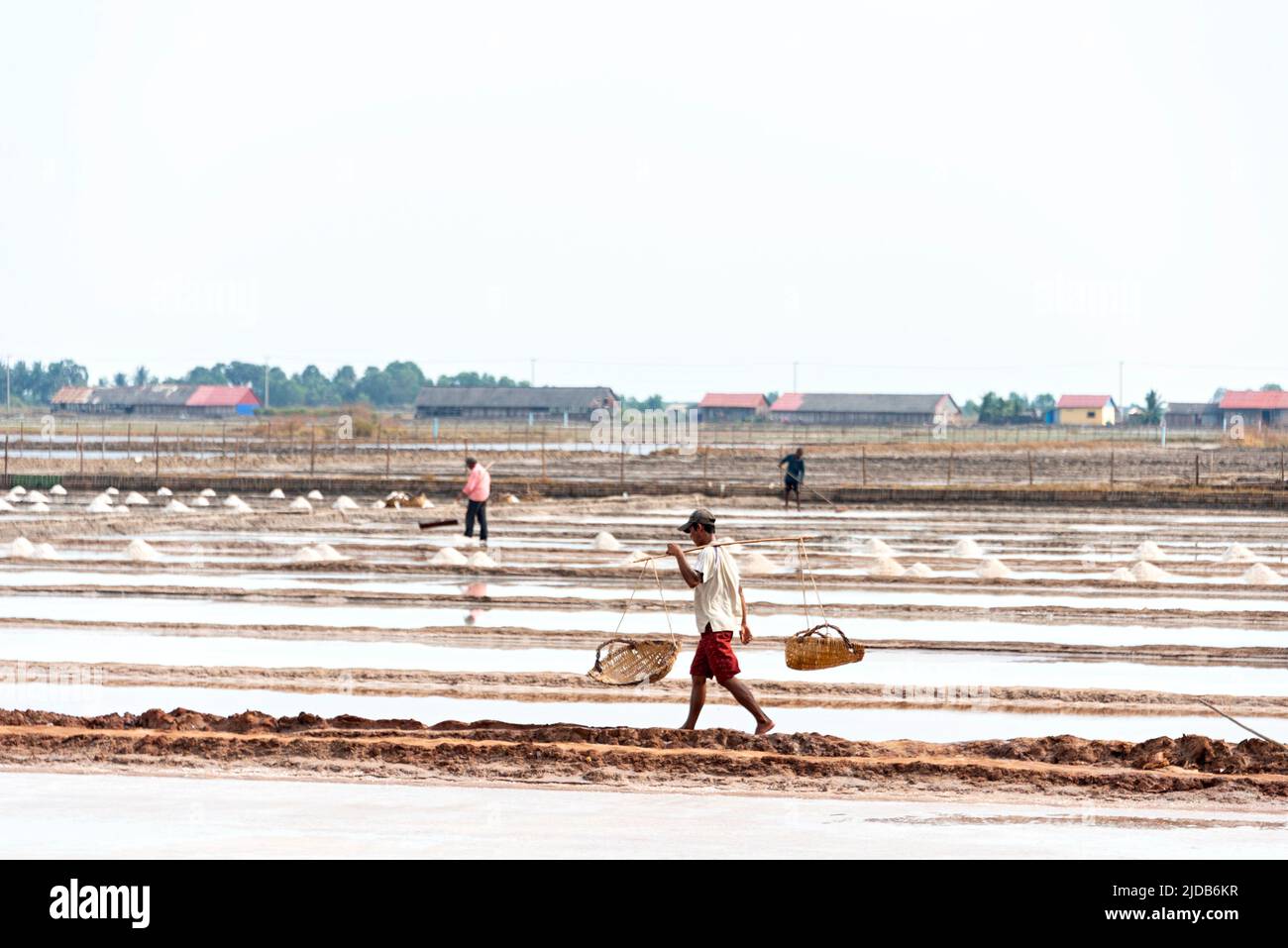 A man carries baskets along the rows on a rice farm in Southern ...