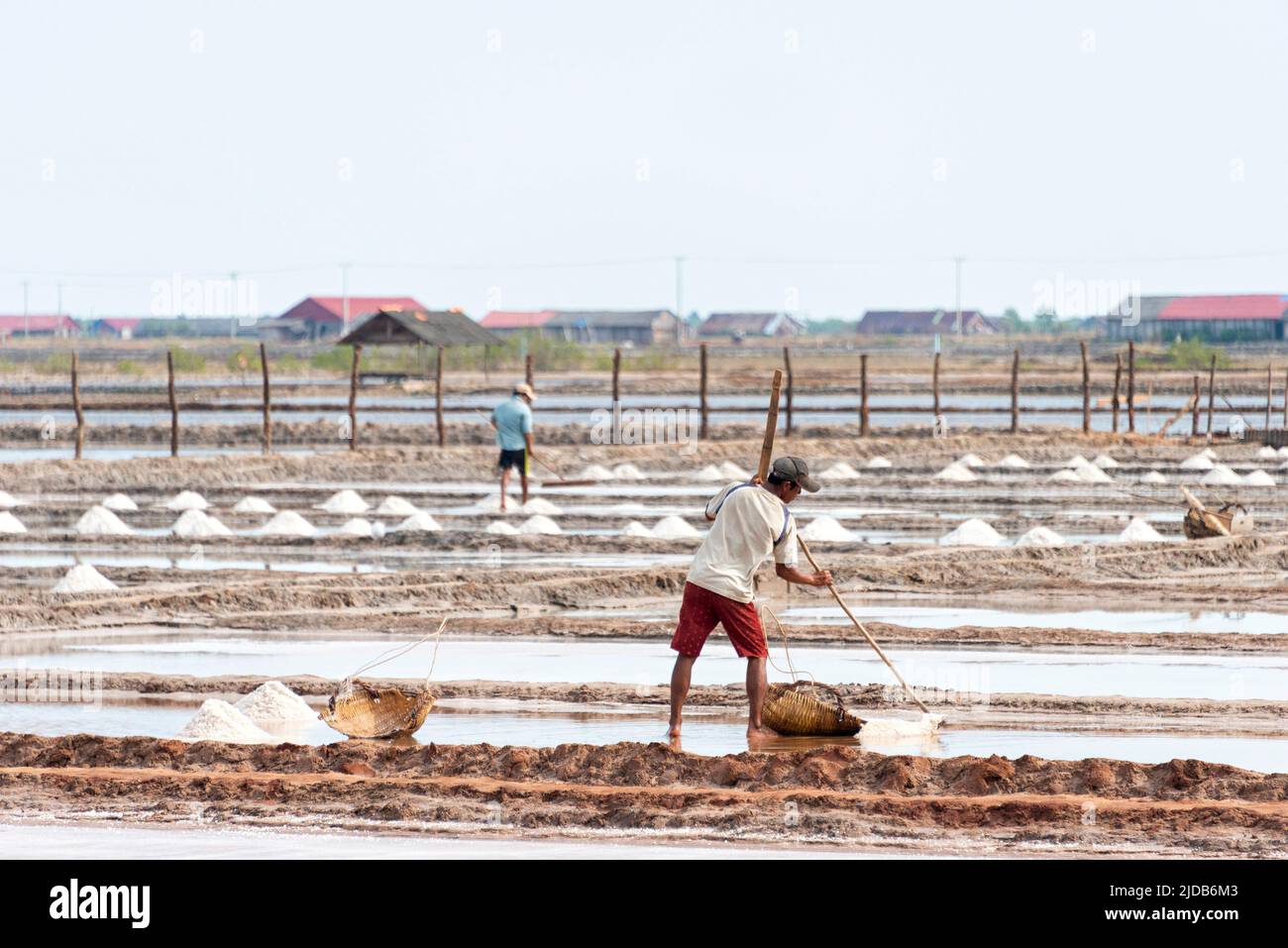 Rice farming in a farming community in Southern Cambodia; Kampot ...