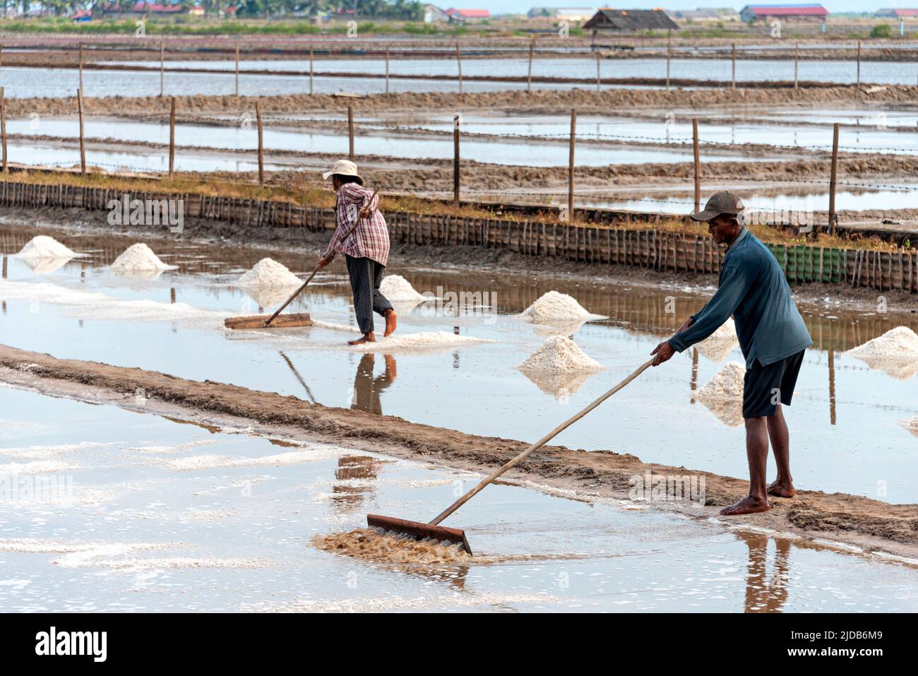 Rice farming in a farming community in Southern Cambodia; Kampot ...