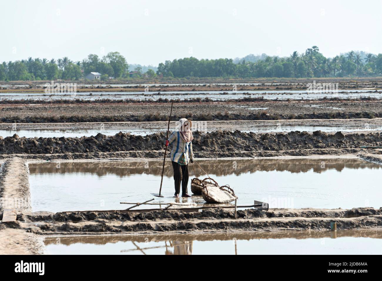 Rice farming in a farming community in Southern Cambodia; Kampot ...