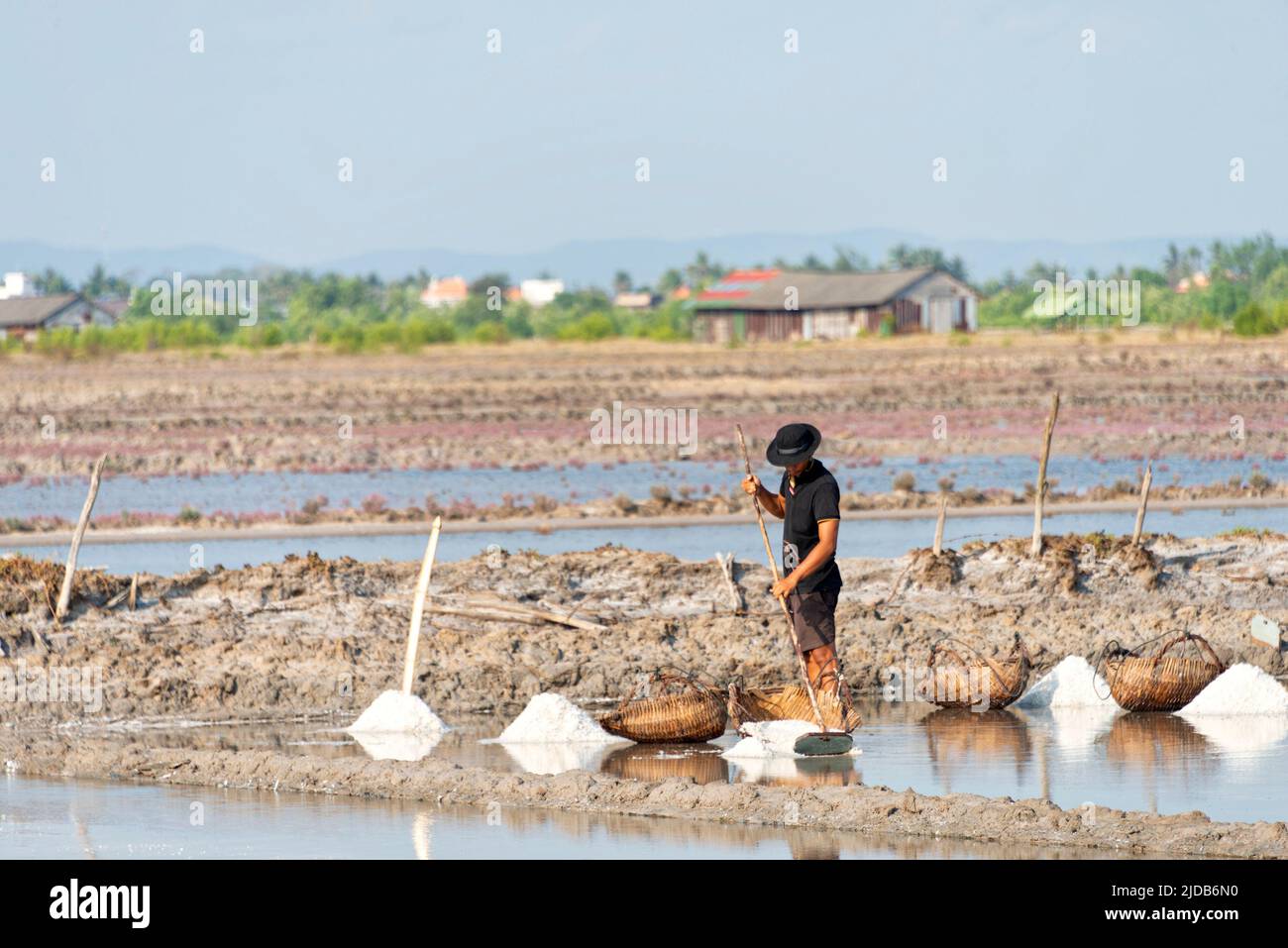 Rice farming in a farming community in Southern Cambodia; Kampot ...