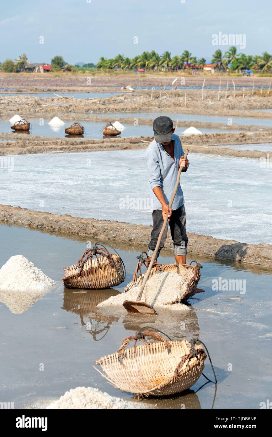 Rice farming in a farming community in Southern Cambodia; Kampot ...