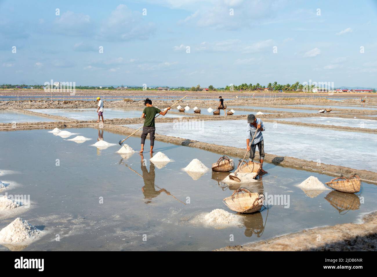 Rice farming in a farming community in Southern Cambodia; Kampot ...