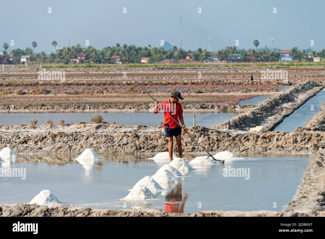 Rice farming in a farming community in Southern Cambodia; Kampot ...
