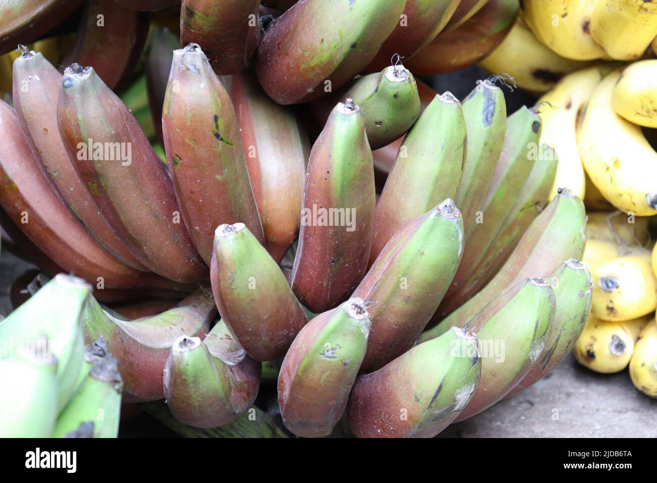 healthy raw banana bunch stock on shop for sell Stock Photo - Alamy