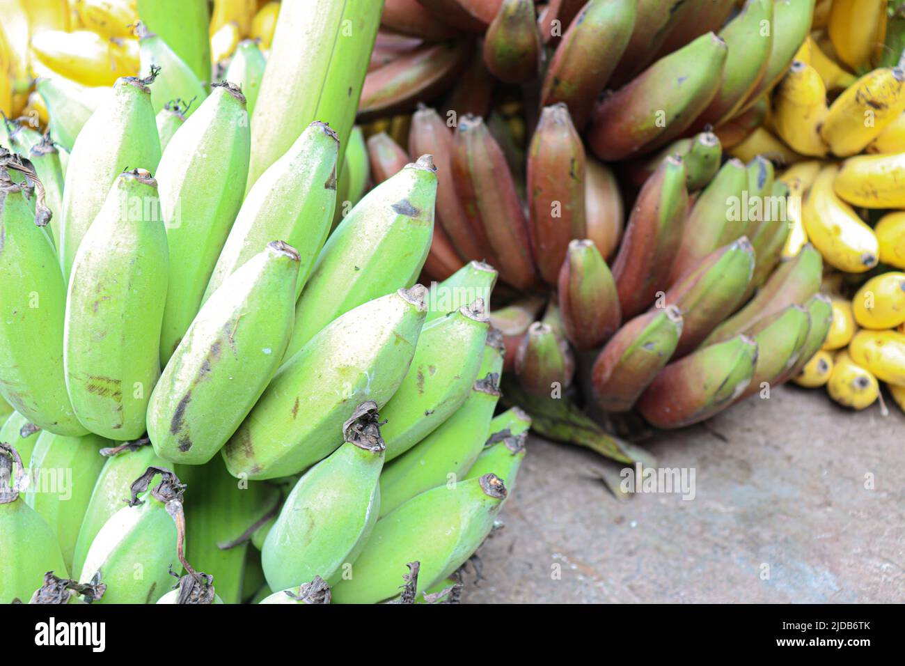 healthy raw banana bunch stock on shop for sell Stock Photo - Alamy
