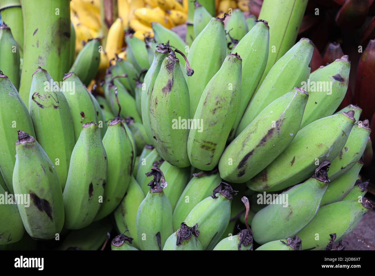 healthy raw banana bunch stock on shop for sell Stock Photo - Alamy