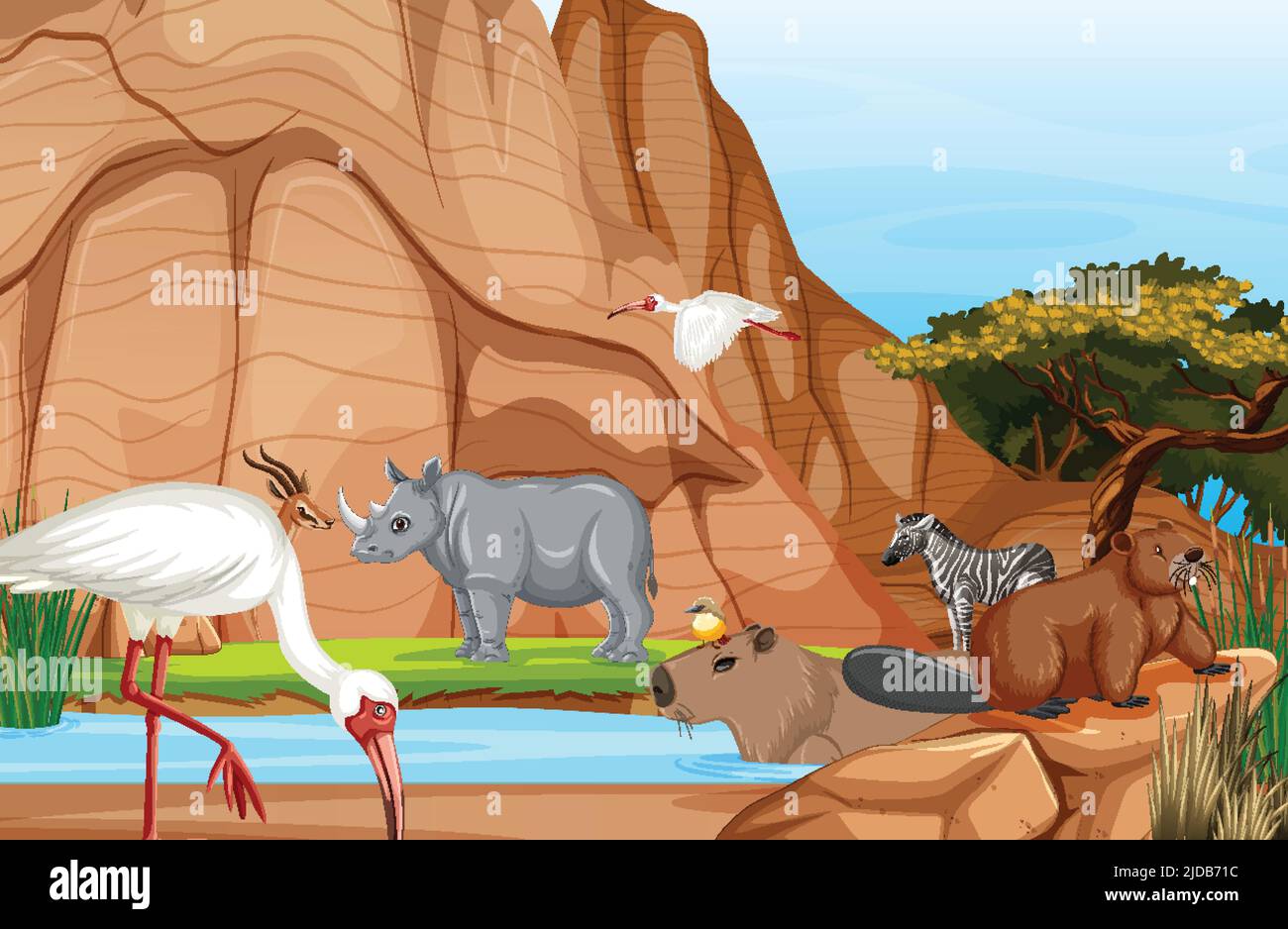 Dryland forest with animals illustration Stock Vector Image & Art - Alamy
