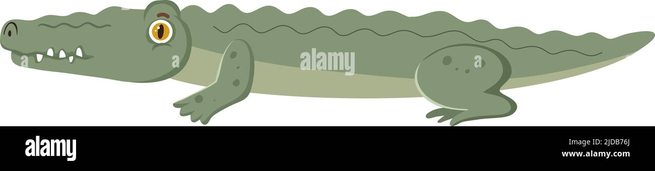 Side of crocodile in flat cartoon style illustration Stock Vector Image ...