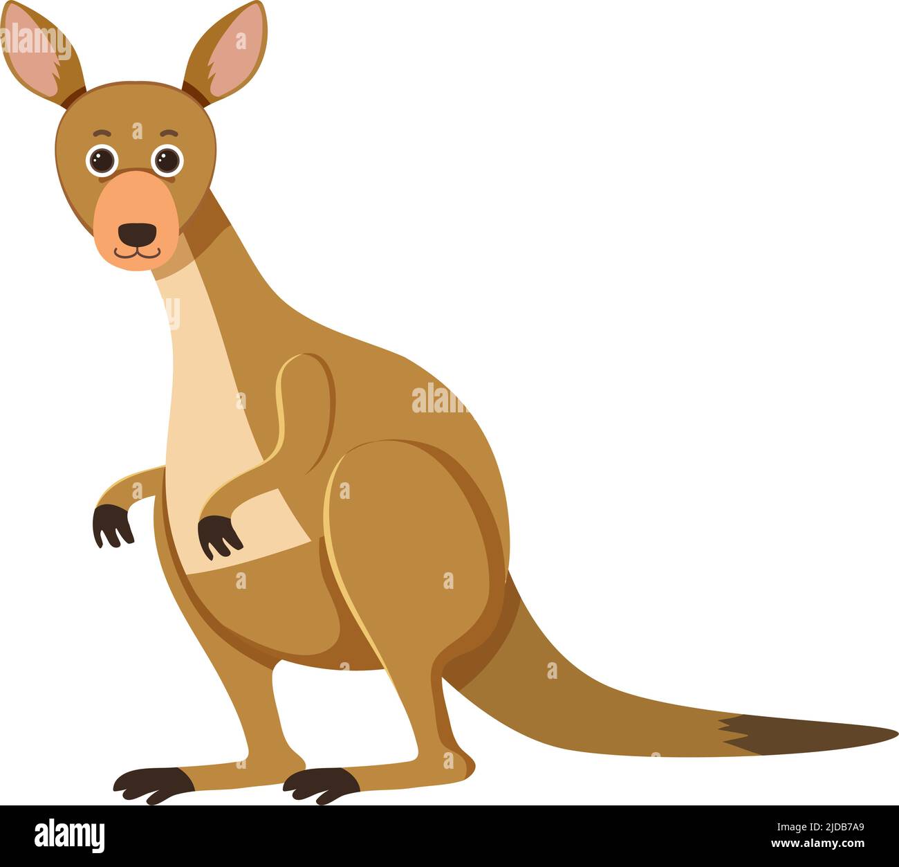 Kangaroo cartoon character isolated illustration Stock Vector Image & Art - Alamy
