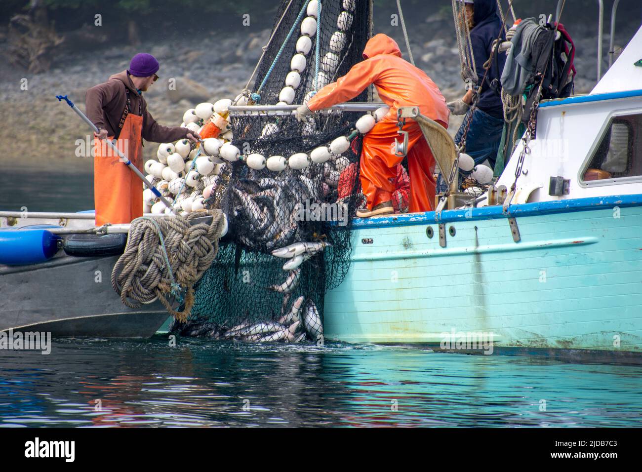 Salmon purse seiner and crew work the waters of Kachemak Bay for ...
