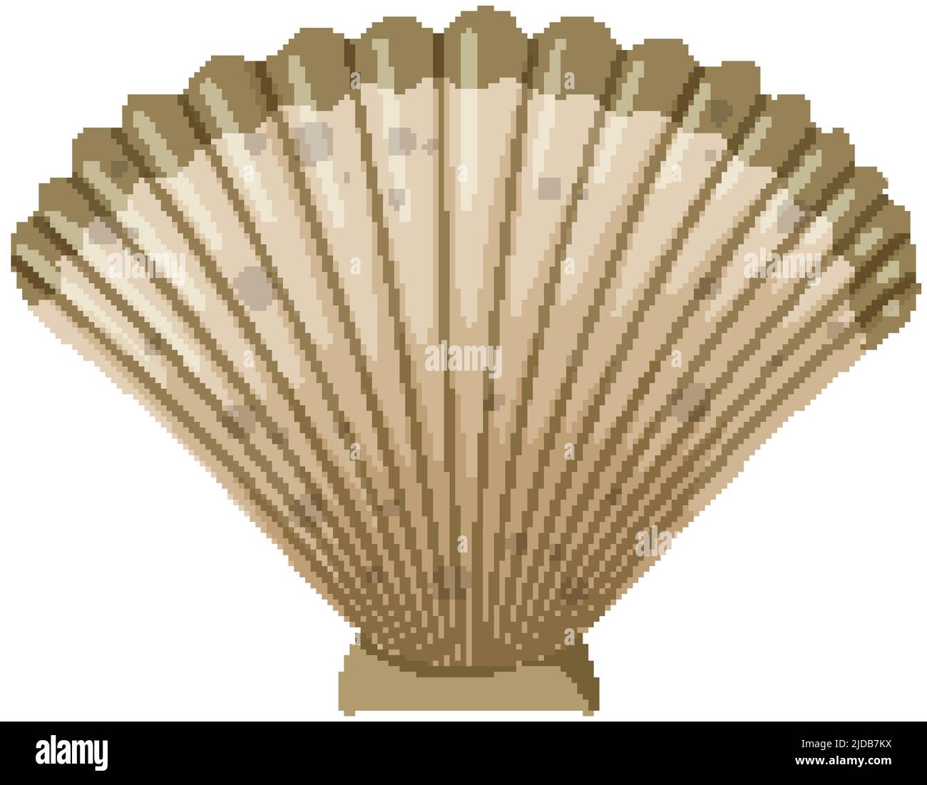 Isolated seashell on white background illustration Stock Vector Image ...