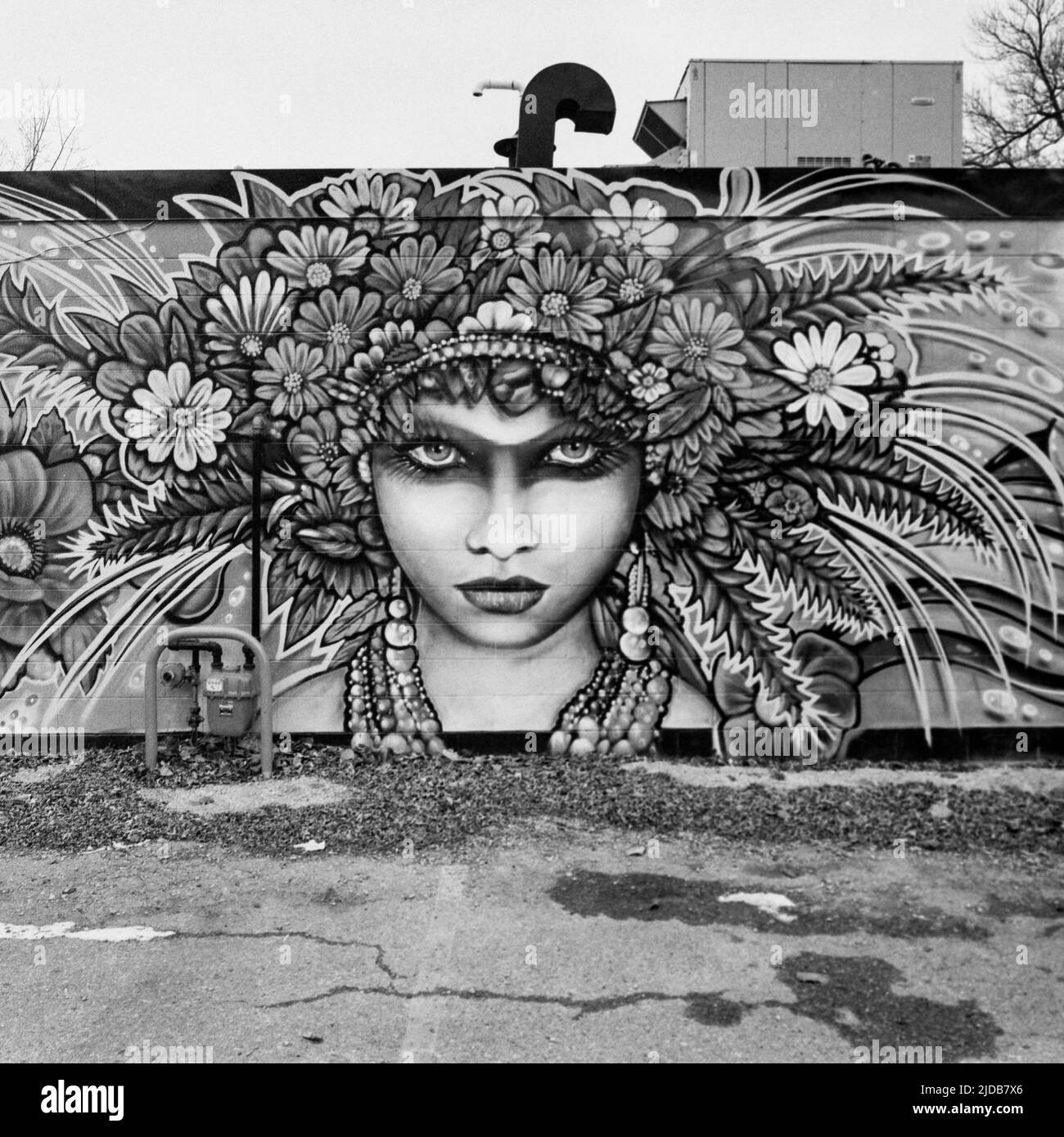 Ornate street art 'Life Goddess' painted on the building in Transcona ...