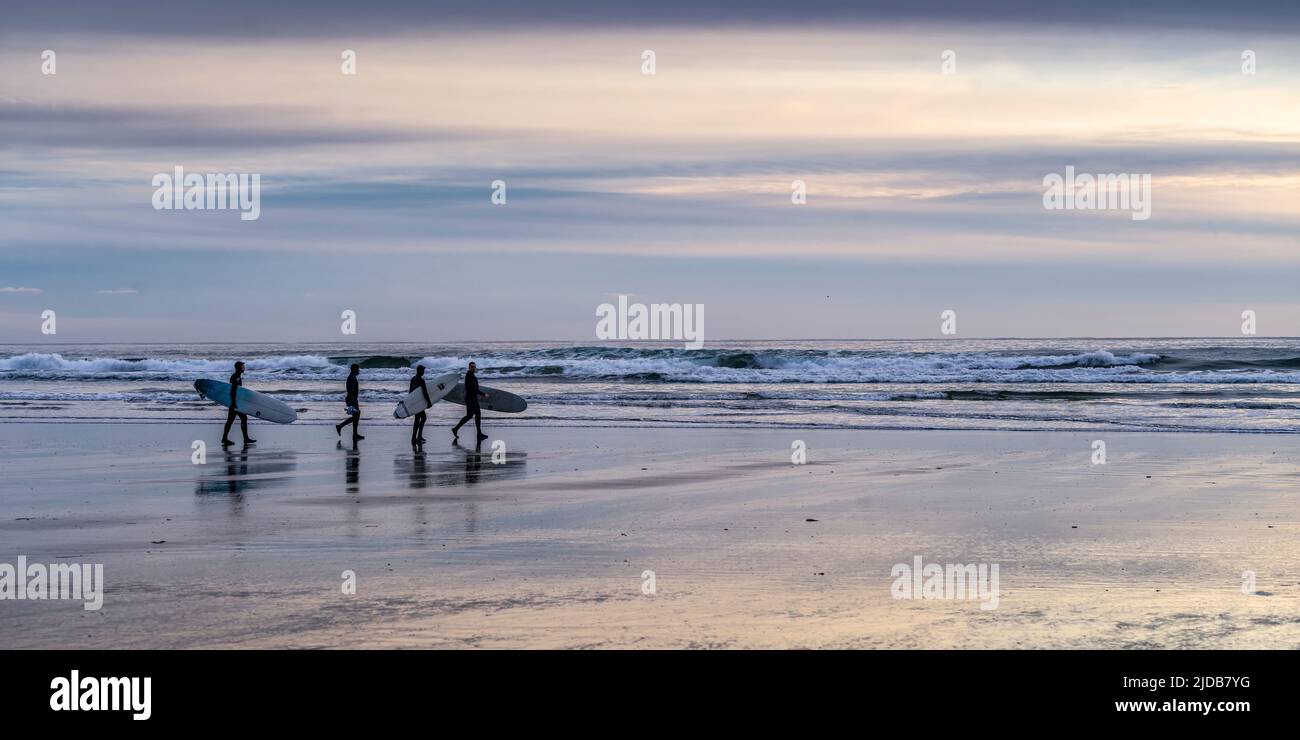 Surfers carry their surfboards on the wet sand at the popular surfing ...