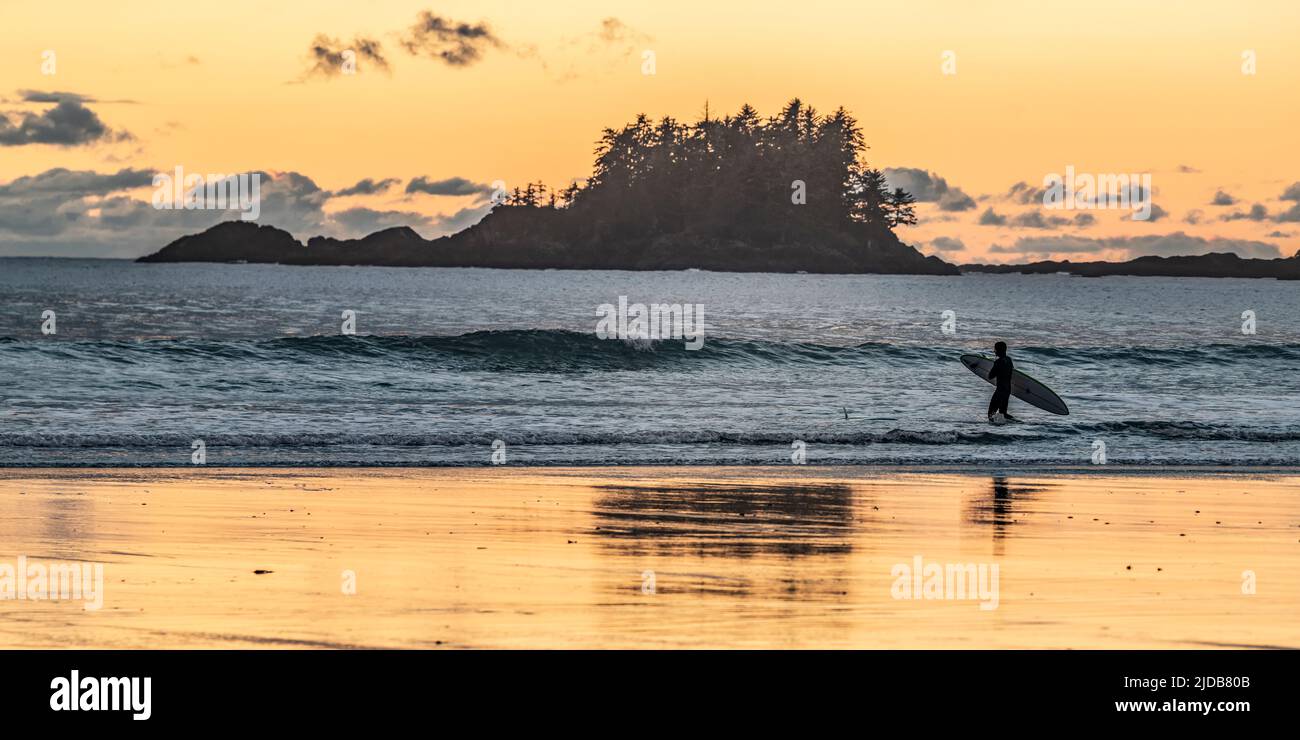 A surfer carries their surfboard in the surf at the popular surfing ...
