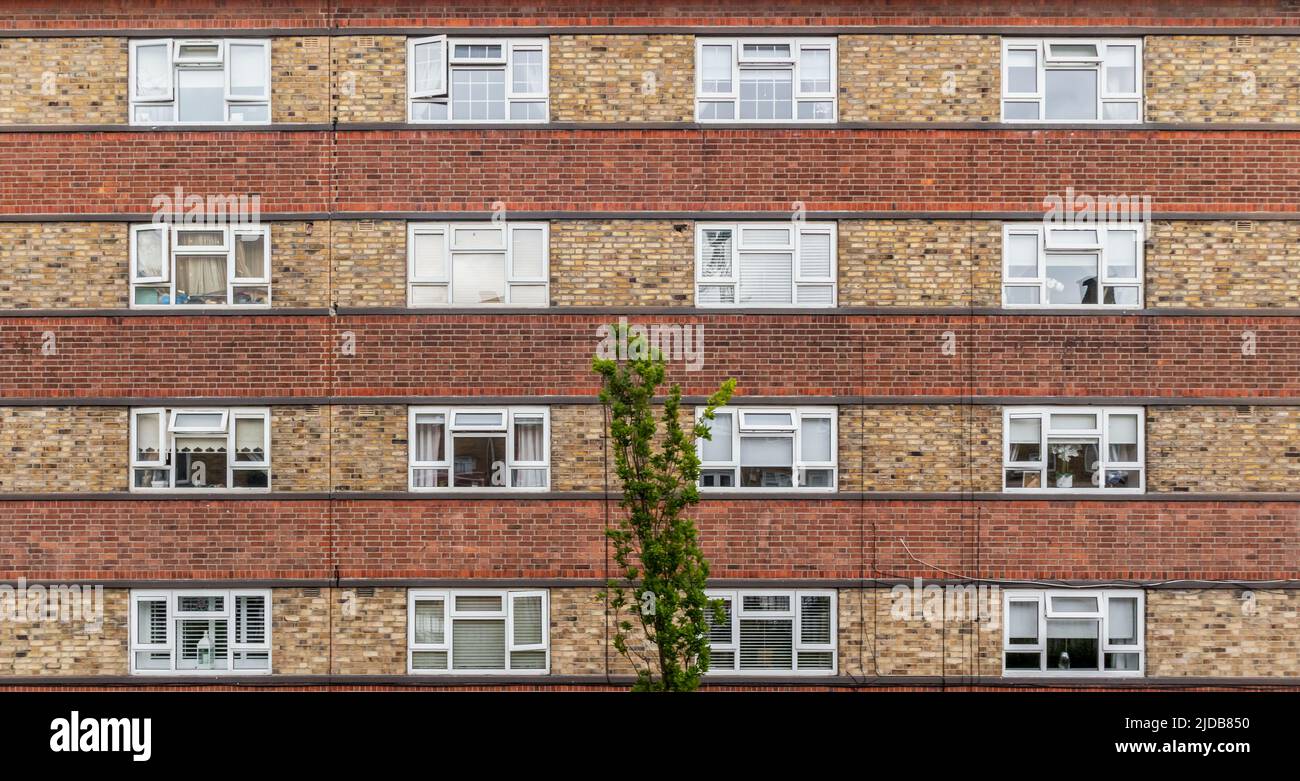 Typical red and brown brick facade in Dublin. Ireland, with a tree on ...