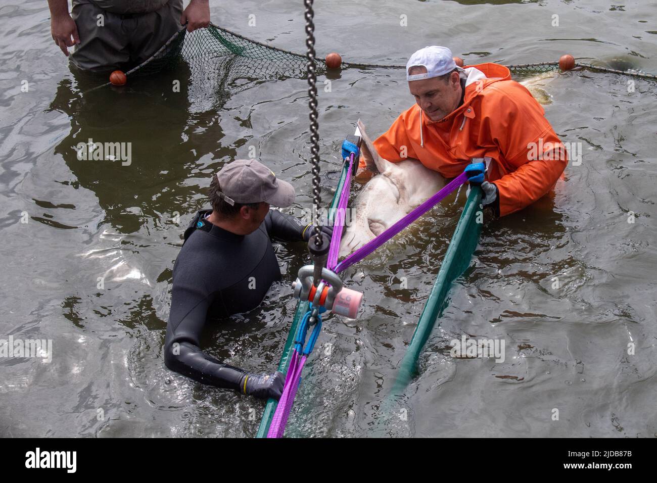 Fish rearing station hi-res stock photography and images - Alamy
