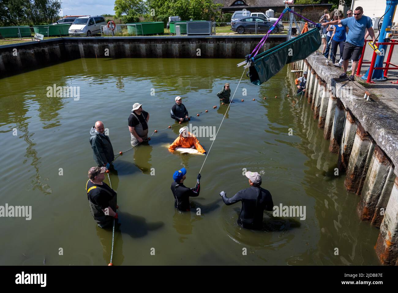 Fish rearing station hi-res stock photography and images - Alamy