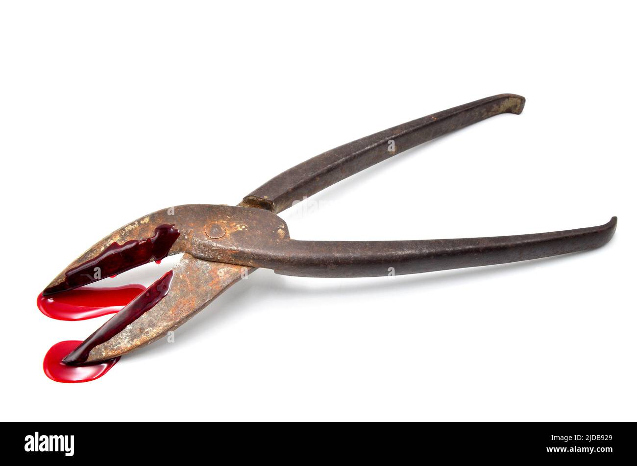 cutter tongue with blood Stock Photo - Alamy