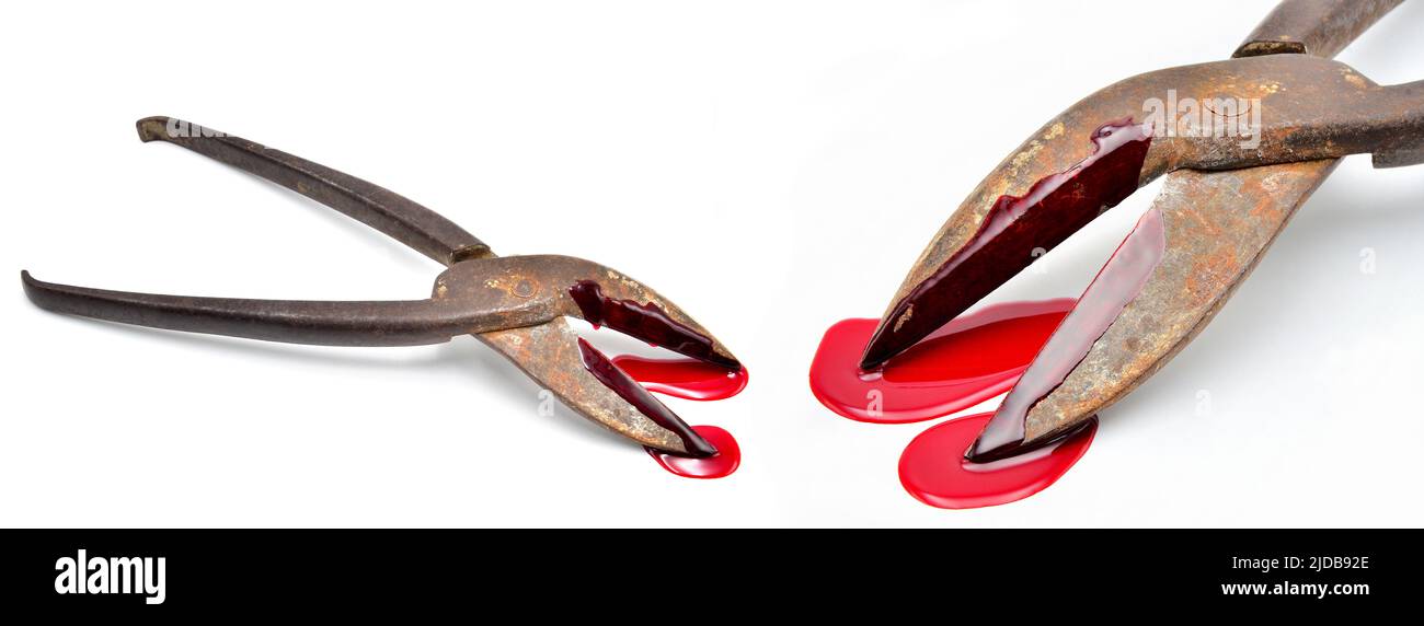 cutter tongue with blood Stock Photo - Alamy