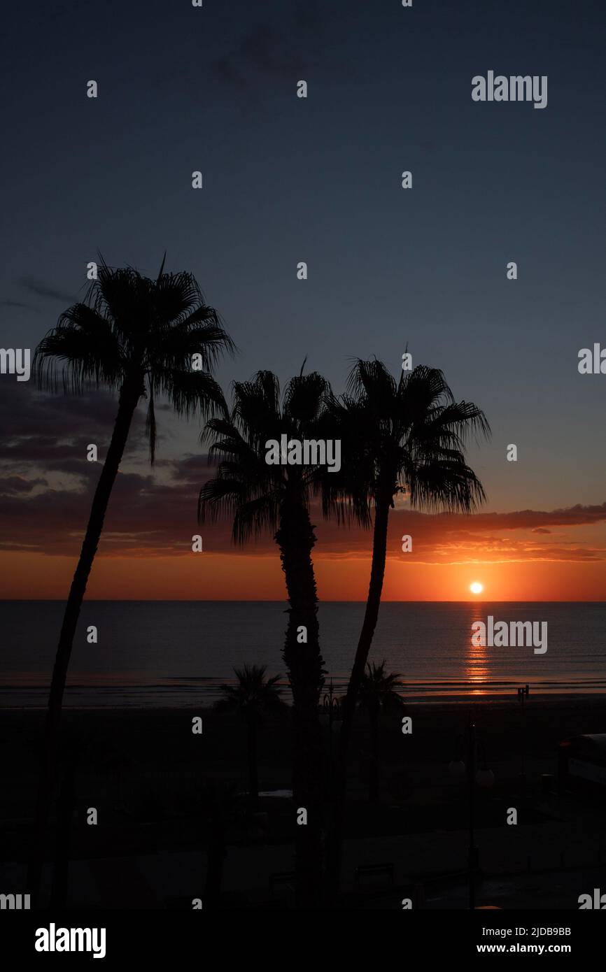 Cyprus landscape night trees hi-res stock photography and images - Alamy
