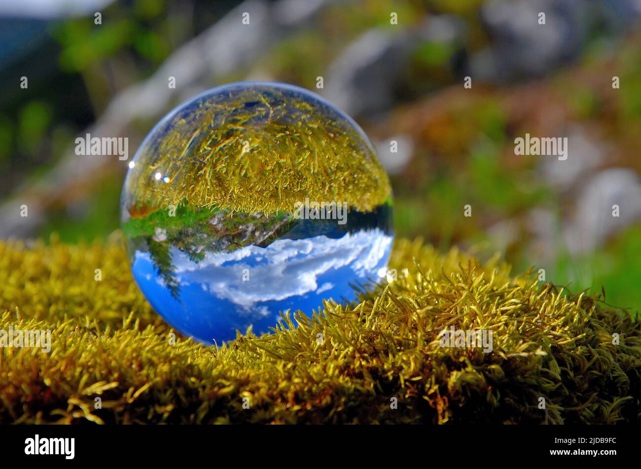 Glass ball background hi-res stock photography and images - Alamy