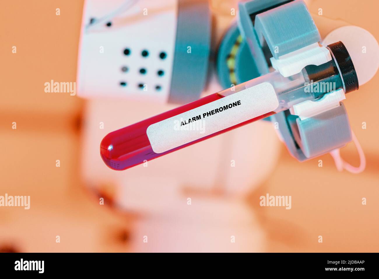 Alarm pheromone hi-res stock photography and images - Alamy