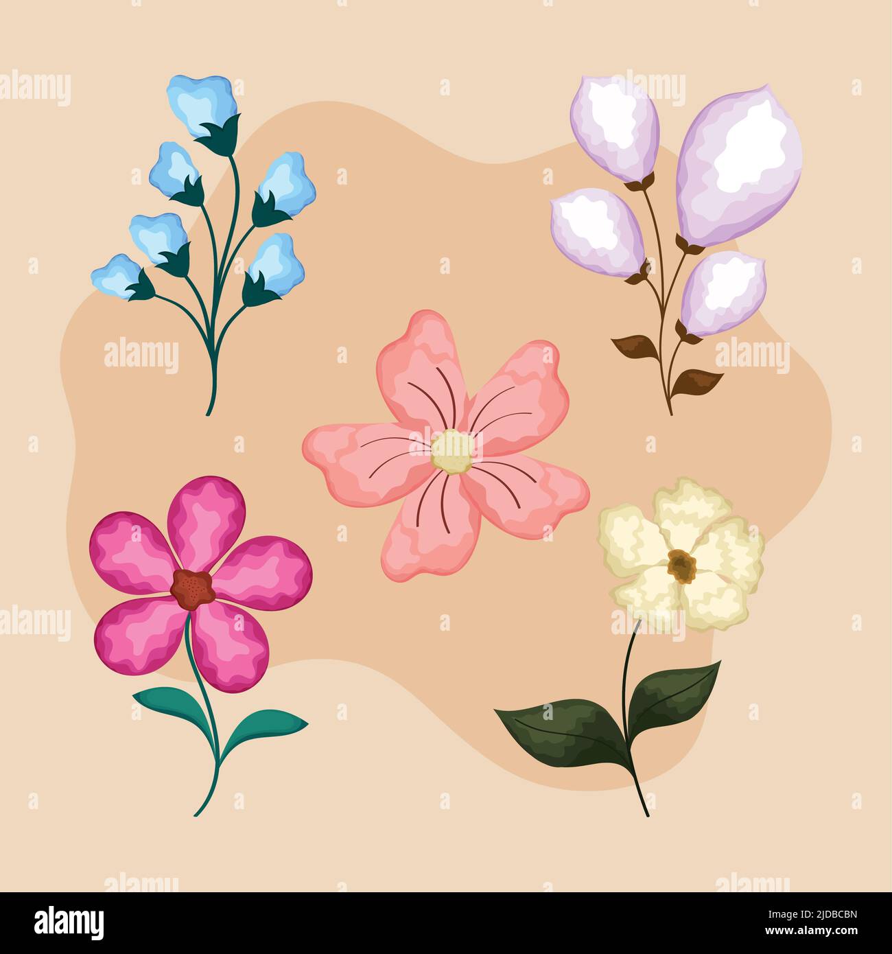 Five white petals Stock Vector Images - Alamy