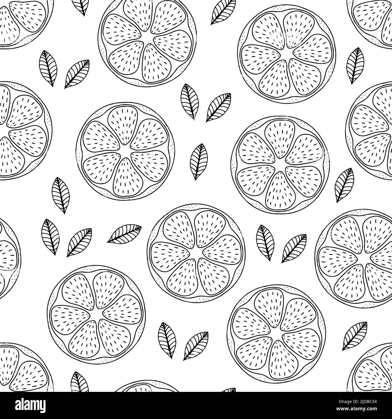 Hand drawn lemon vintage Black and White Stock Photos & Images - Alamy